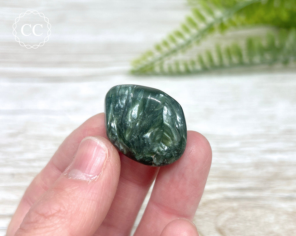 Seraphinite Polished Pebble #2 – The Citrine Circle