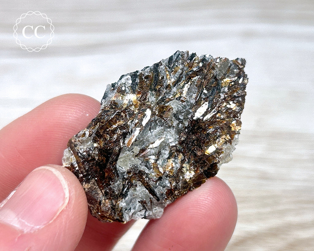 Astrophyllite Specimen #4 – The Citrine Circle
