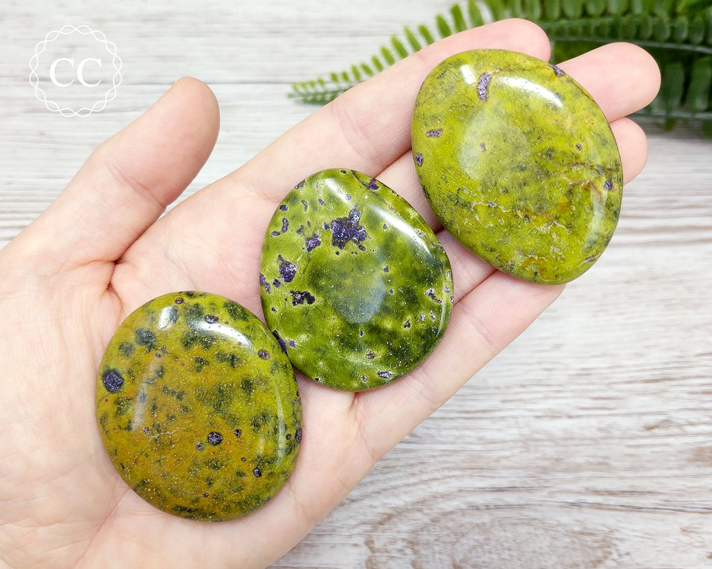 Atlantisite Palm Stone – The Citrine Circle