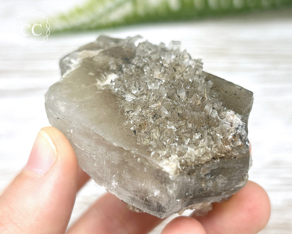 Baryte - Clara Mine #3 – The Citrine Circle