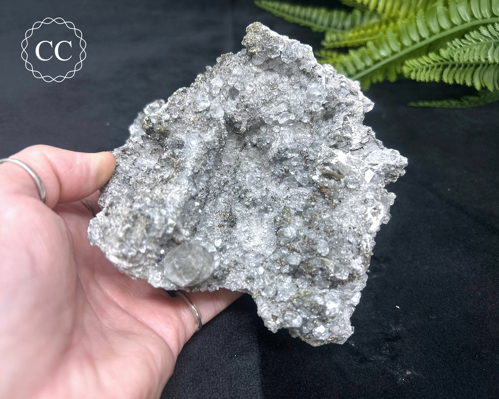 Marcasite and Calcite Specimen - Linwood Mine #3 – The Citrine Circle