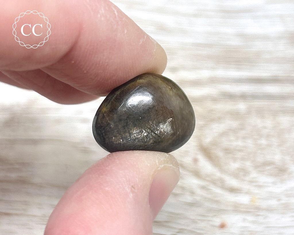 Chocolate Sapphire Polished Pebble #6 – The Citrine Circle