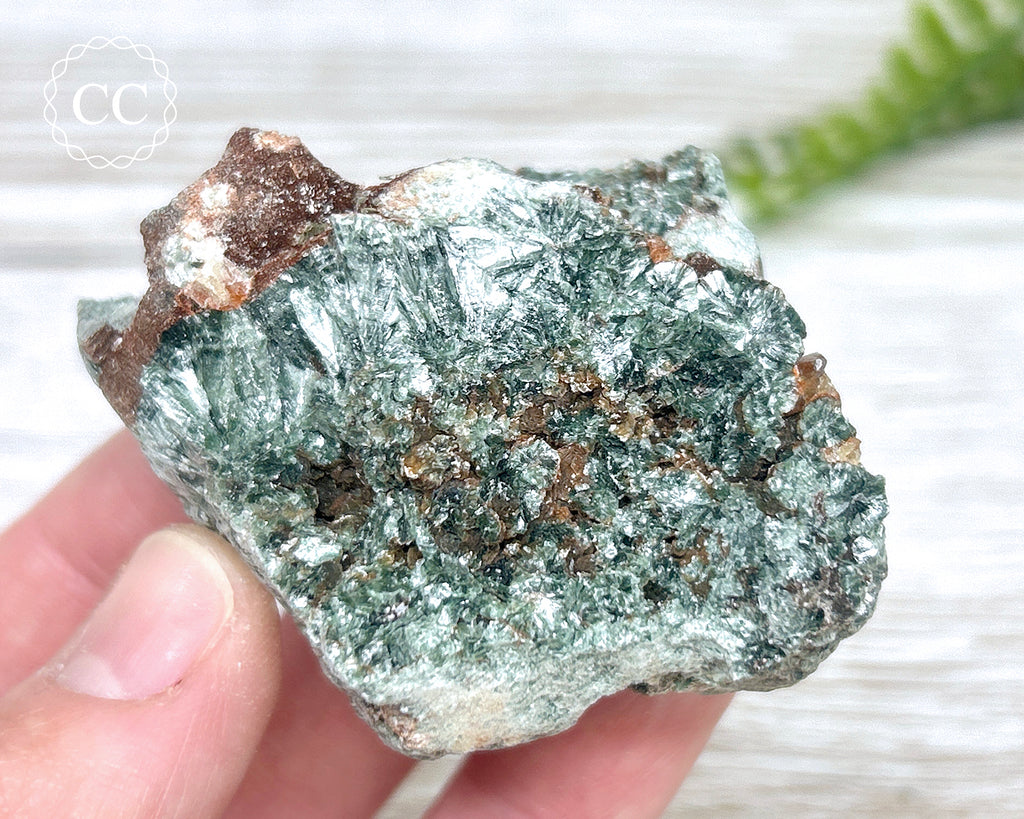 Clinochlore Specimen #2 – The Citrine Circle