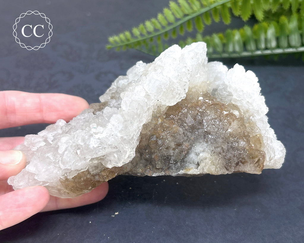 Flower Quartz #2 – The Citrine Circle