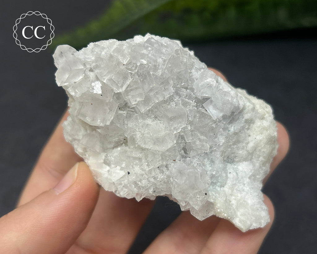 Fluorite - Clara Mine #4 – The Citrine Circle