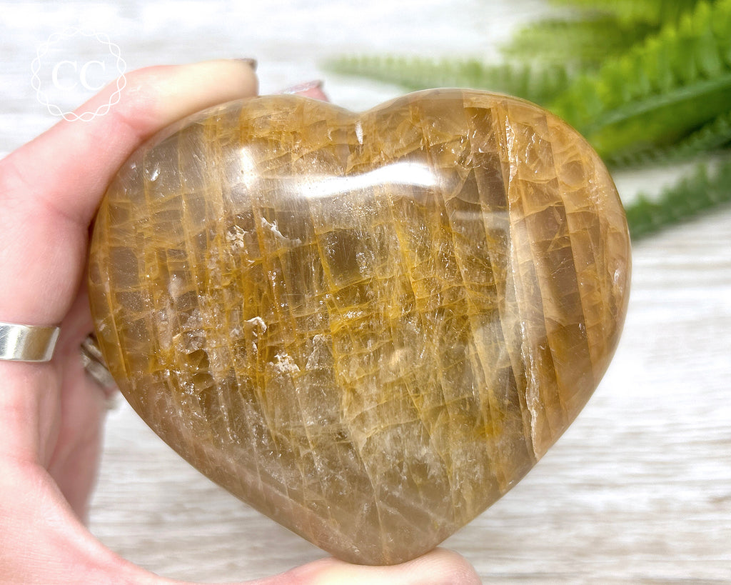 Golden Healer Heart #4 – The Citrine Circle