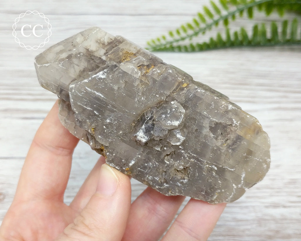 Gypsum Tabular Crystal #16 – The Citrine Circle