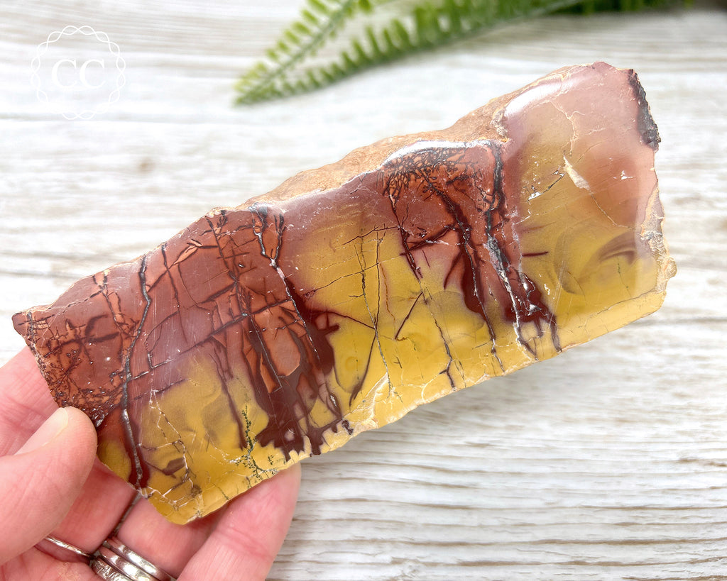 High Atlas Jasper Slice #2 – The Citrine Circle