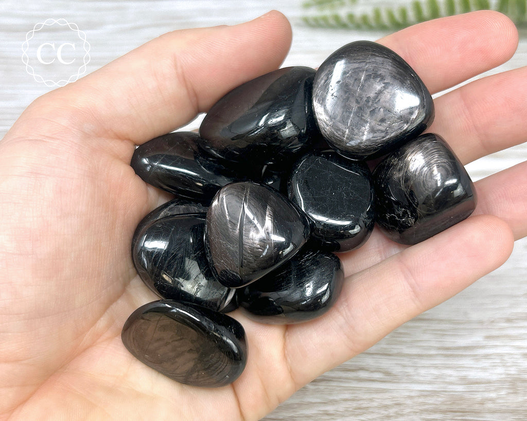 Hypersthene Tumbled Crystal – The Citrine Circle
