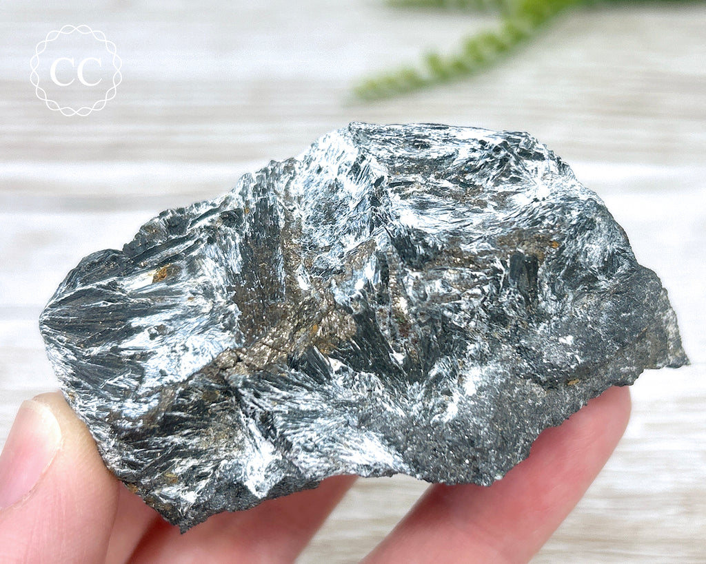 Ludwigite Specimen #1 – The Citrine Circle