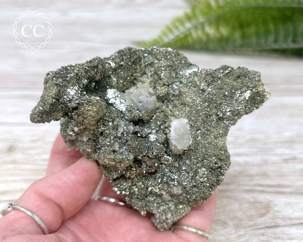Marcasite & Pyrite Specimen #5 – The Citrine Circle