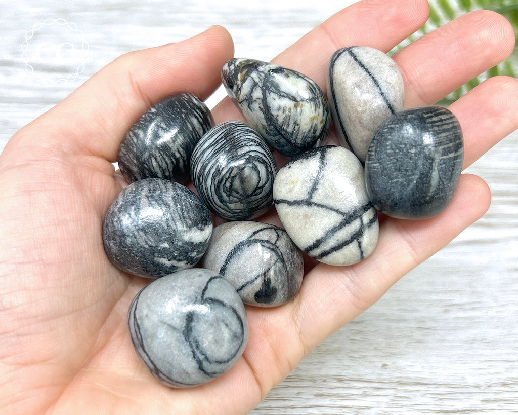 Net Jasper Tumbled Crystal – The Citrine Circle