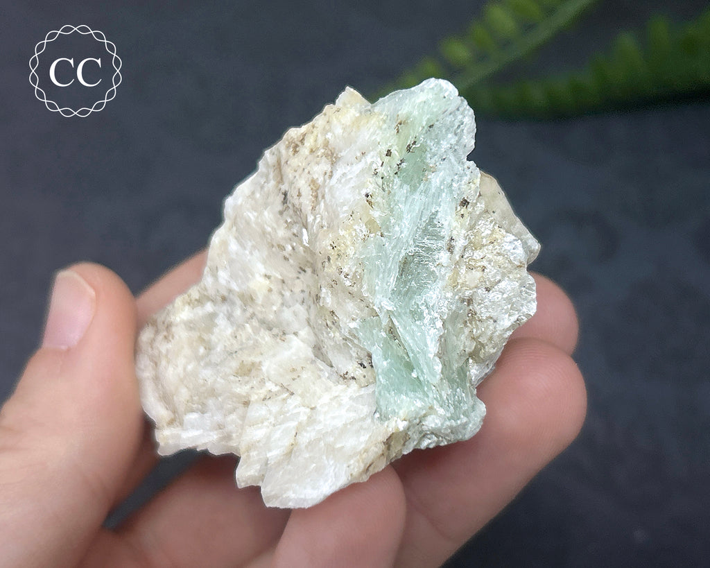 Talc on Dolomite Specimen #1 – The Citrine Circle